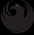 CD Phoenix Netball Sussex - Shop